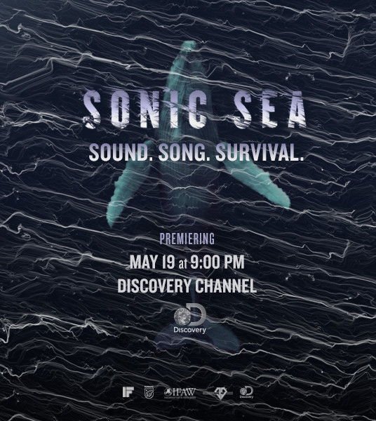 Sonic Sea – Nadine Stewart J Lysiak